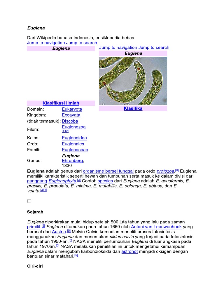 Mikrobiologi Euglena | PDF