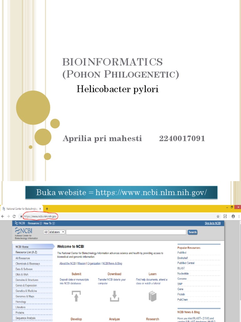 BIOINFORMATICS | PDF