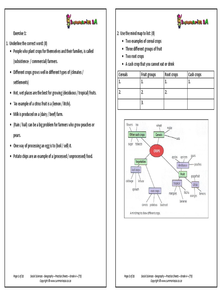 5 SS GEO GR4 Food and Farming in South Africa Practice Sheets T3 | PDF ...