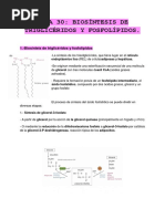 Sintesis Trioleina Completa | PDF