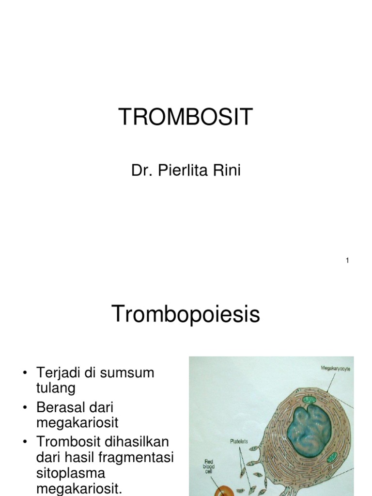 TROMBOSIT Struktur Dan Metabolisme | PDF