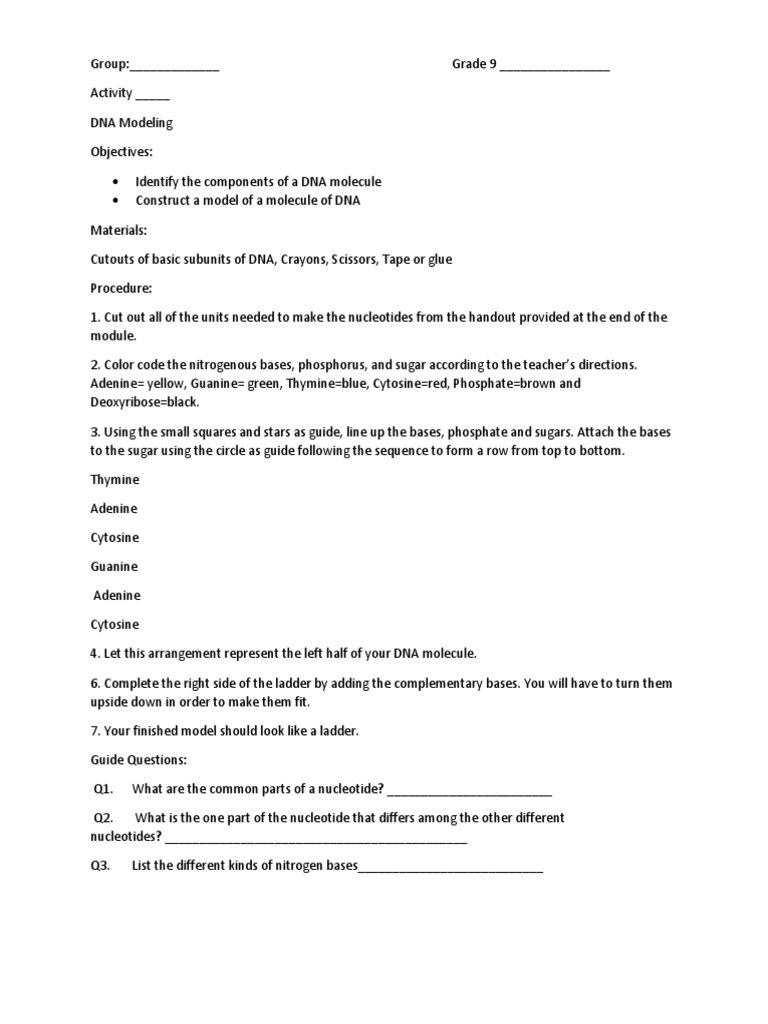 Grade 9 DNA Modeling Activity Guide | PDF | Nucleotides | Dna