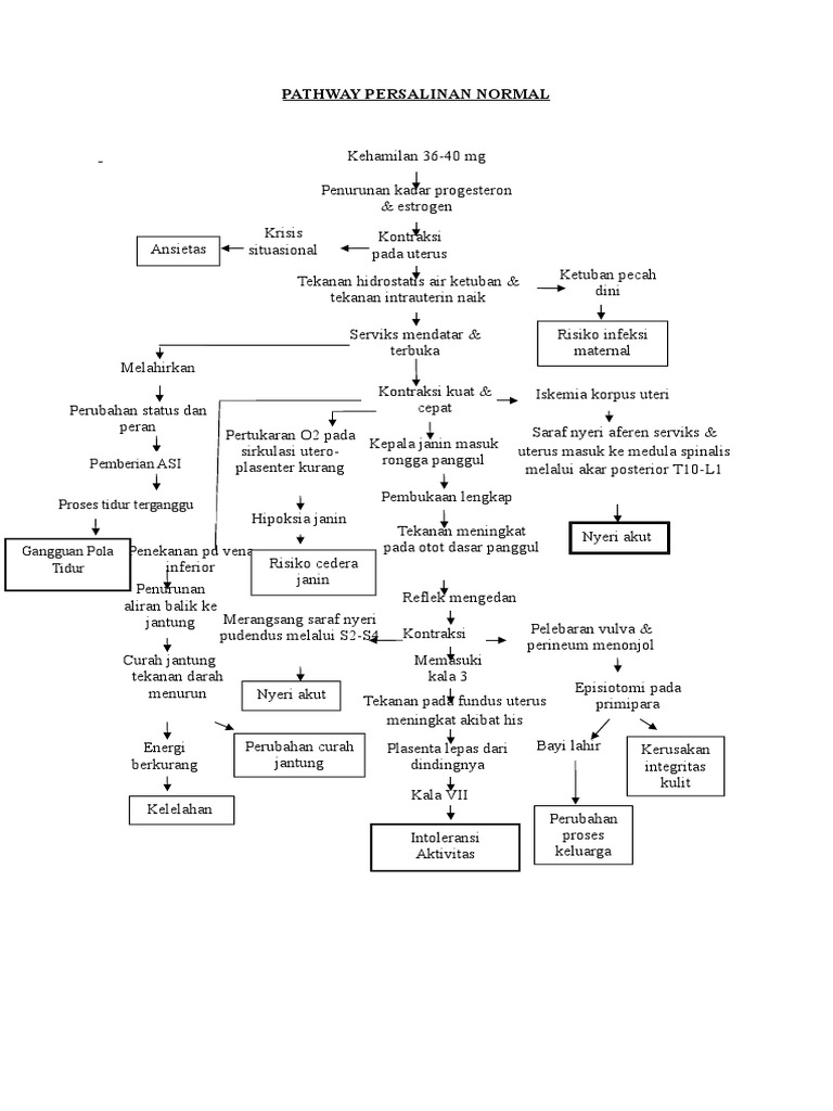 Pathway Persalinan Normal | PDF
