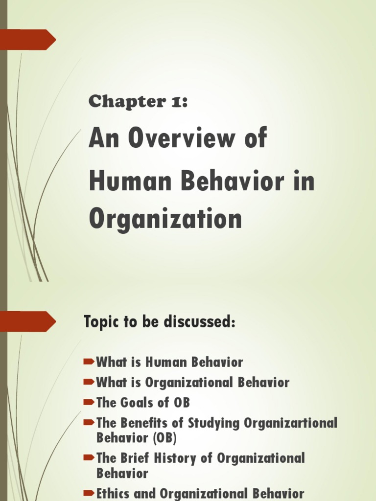 Human Behavior in Organization | PDF | Behavior | Organizational Behavior
