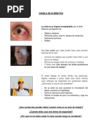 Tipos de Guardas de Seguridad | PDF | Informática