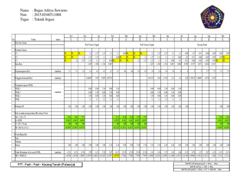 Tugas Irigasi Tabel NFR | PDF