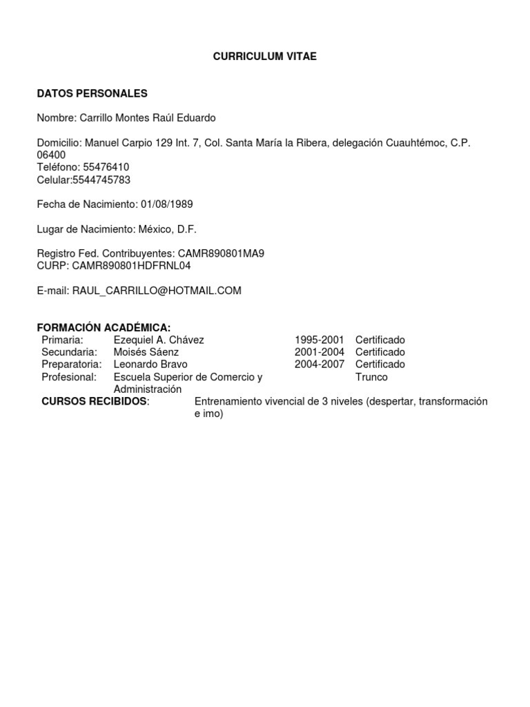 CURRICULUM VITAE Raul | PDF | Business