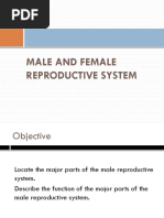 Exercise 2 Organ System Overview: BSN-1C | PDF | Human Body | Lymphatic ...