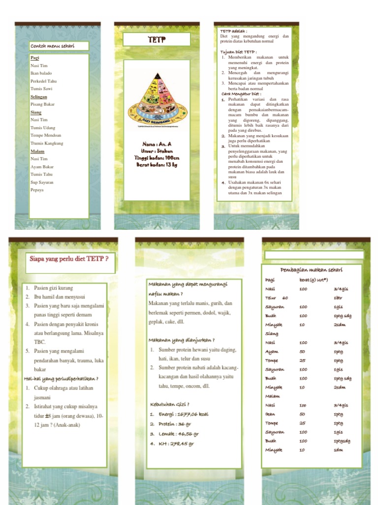 Leaflet Anak TETP | PDF