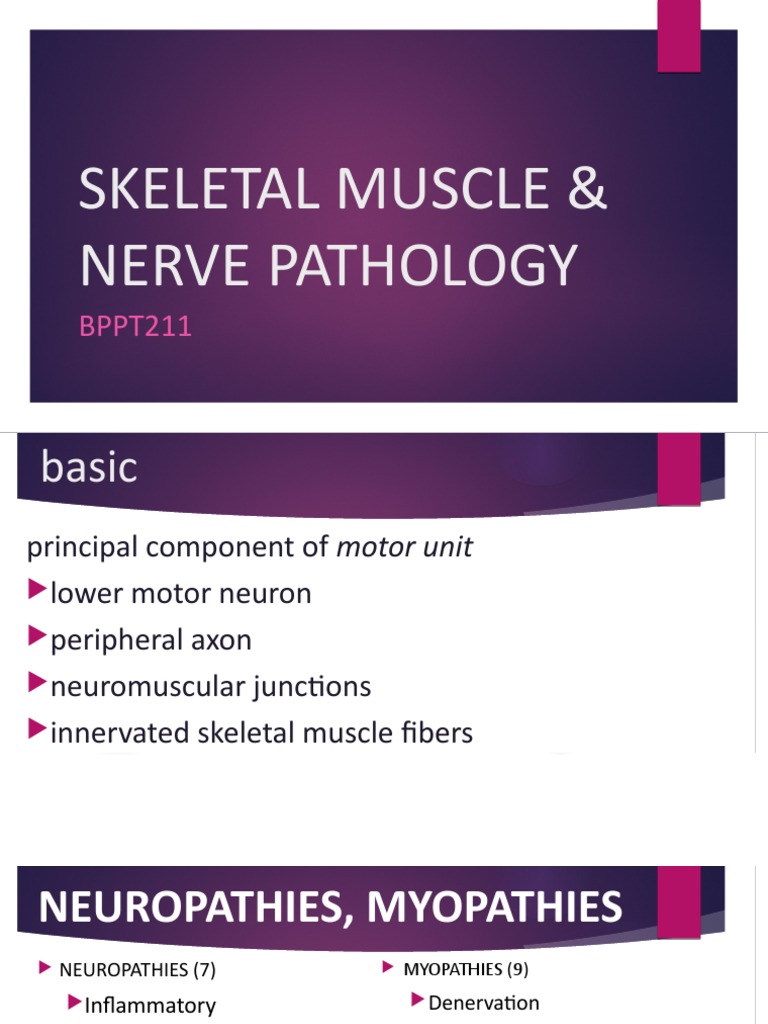 Skeletal Muscle & Nerve Pathology | PDF | Myelin | Neuromuscular Junction