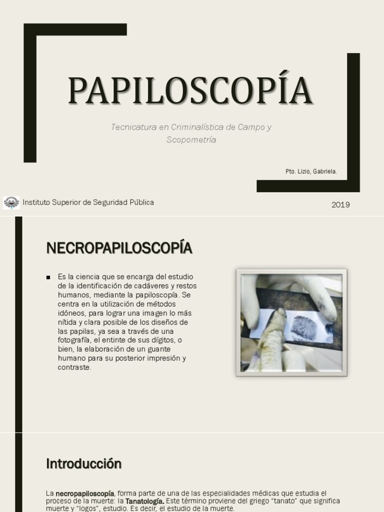 Clase Necro | PDF | Descomposición | Piel