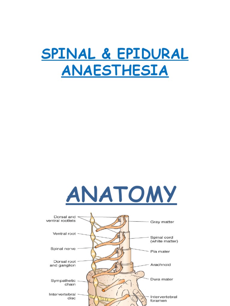 Spinal & Epidural Anaesthesia | PDF | Human Anatomy | Clinical Medicine