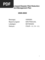 CBDRRM Plan-2025 | PDF
