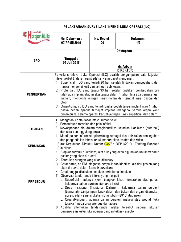Pelaksanaan Surveilans ILO | PDF