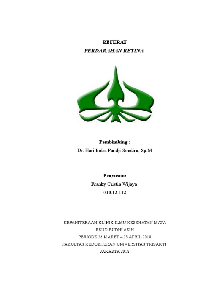 Referat Pendarahan Retina Fix | PDF