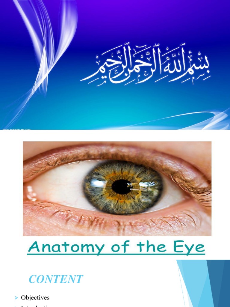Anatomy of Eye | PDF | Eye | Cornea
