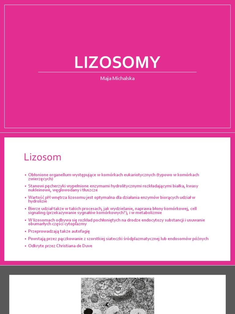 Lizosomy PDF | PDF