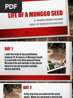 Observation of Mongo | PDF