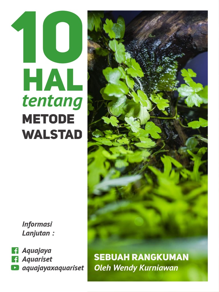 10 Things Npt-Compressed | PDF