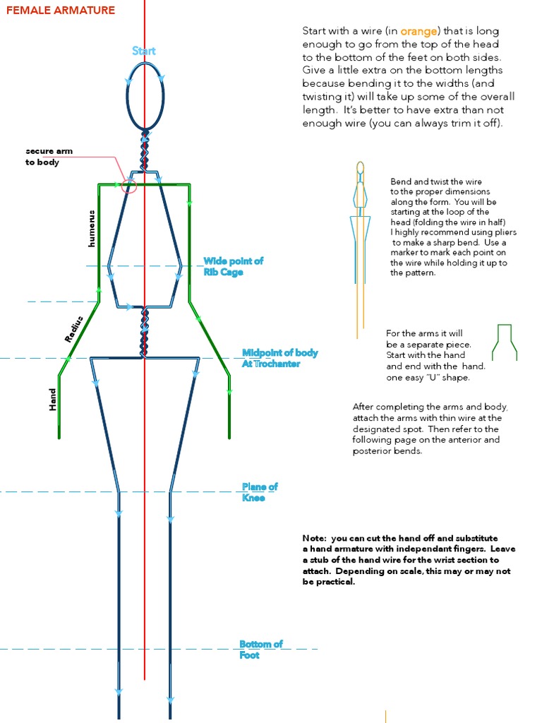 Create Female Armature Wire Form | PDF | Arm | Hand