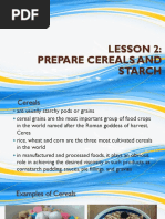 Dextrinisation | PDF | Starch | Foods