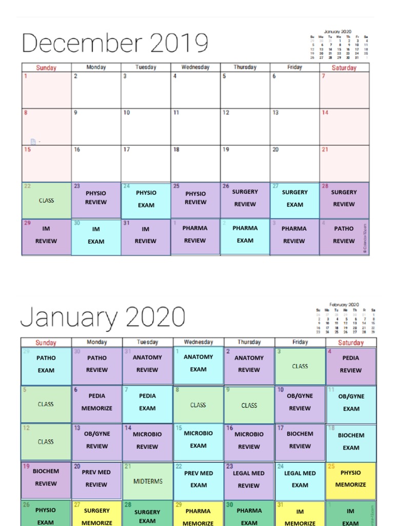 PLE Exam Subject Review Schedule | PDF