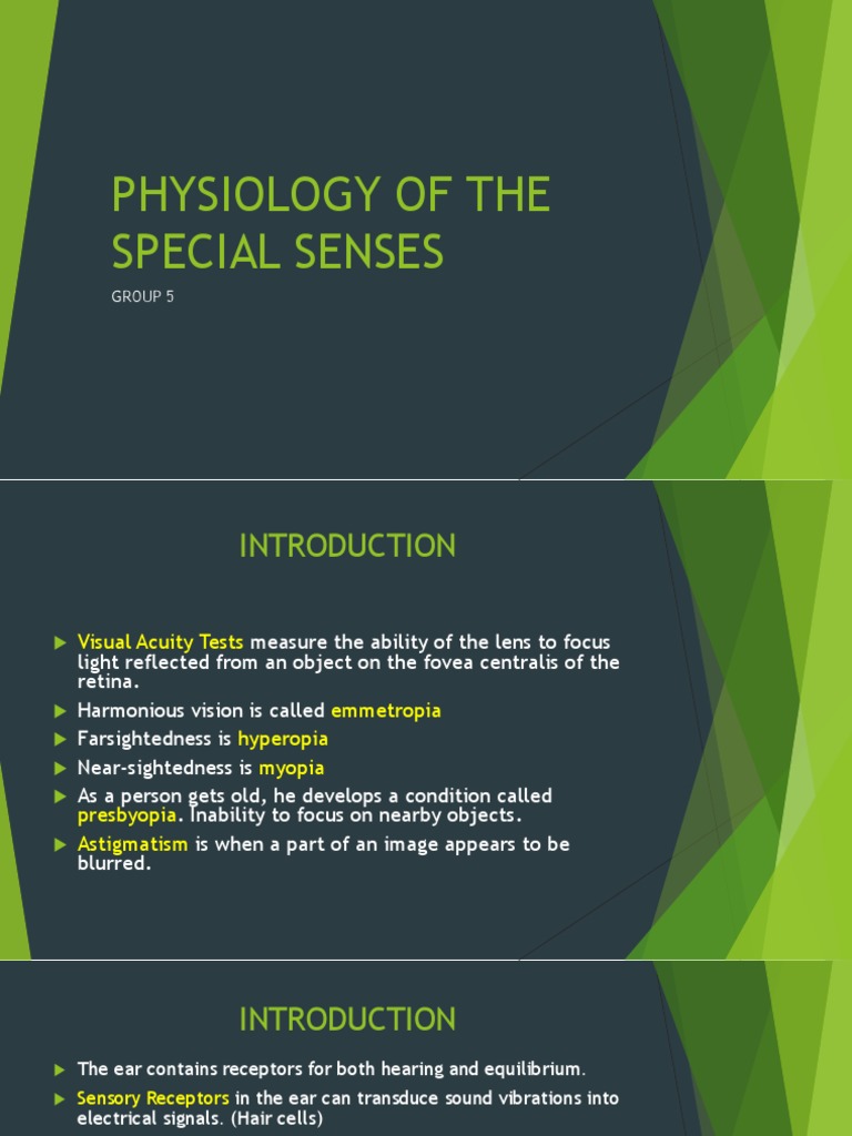 Special Senses Physiology Overview | PDF | Senses | Olfaction