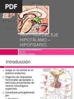 Anatomía Del Hipotálamo e Hipófisis - NeuroWikia | PDF | Hipotálamo ...