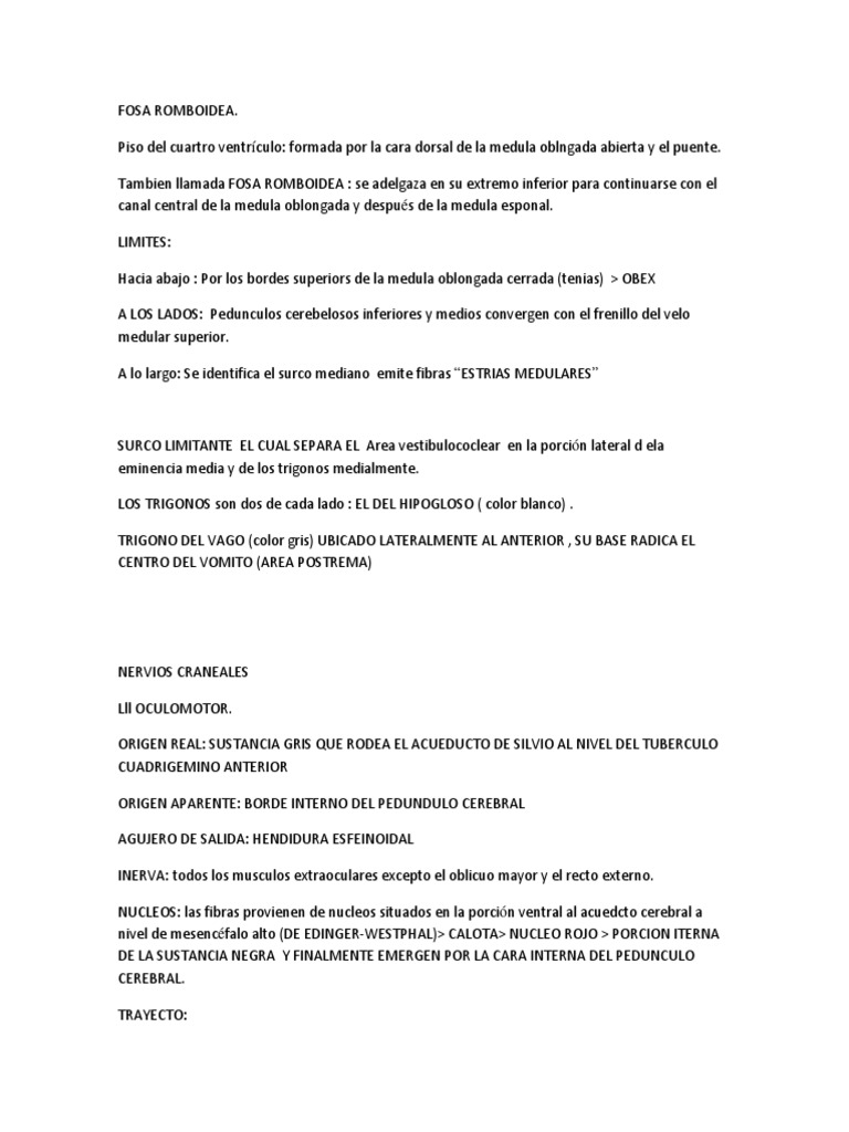 Fosa Romboidea | PDF | Médula espinal | Anatomía humana