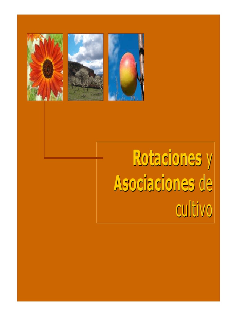 Rotacion de Cultivos | PDF | La rotación de cultivos | Agricultura