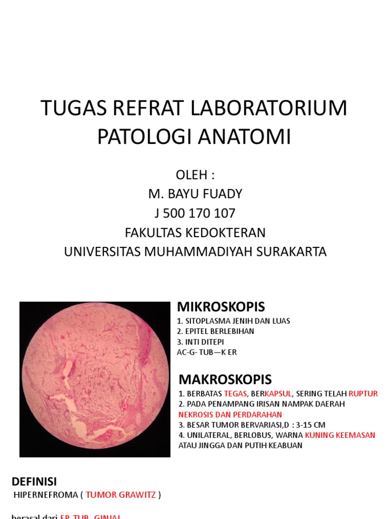 Tugas Refrat Laboratorium Patologi Anatomi | PDF