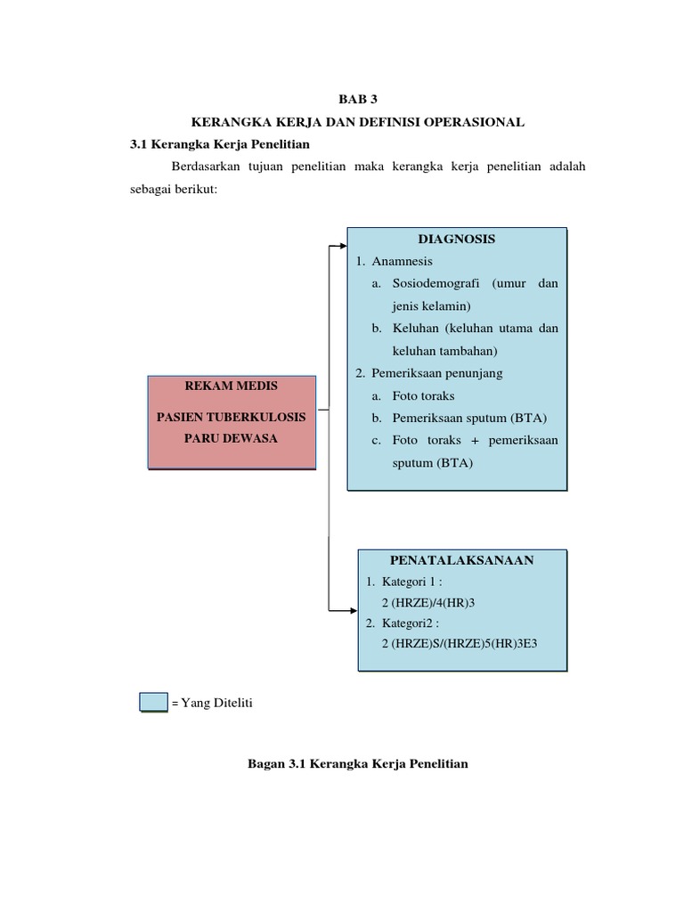 Bab 3 Kerangka Konsep Dan Definisi Operasional | PDF