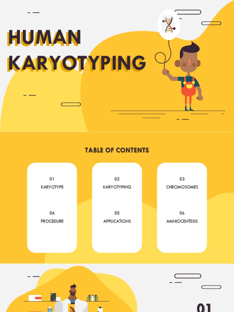 Human Karyotyping | PDF | Karyotype | Chromosome