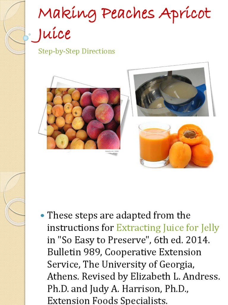 Making Apple Juice | PDF | Fruit Preserves | Cooking