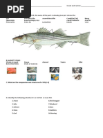 Module2 PPST1 4 2 | PDF | Literacy | Teachers