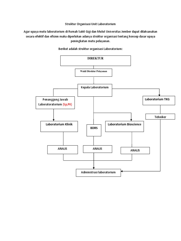 Struktur Organisasi Laboratorium RSGM UJ | PDF