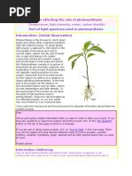 Photosynthesis Hhmi Biointeractive | PDF | Photosynthesis | Physiology