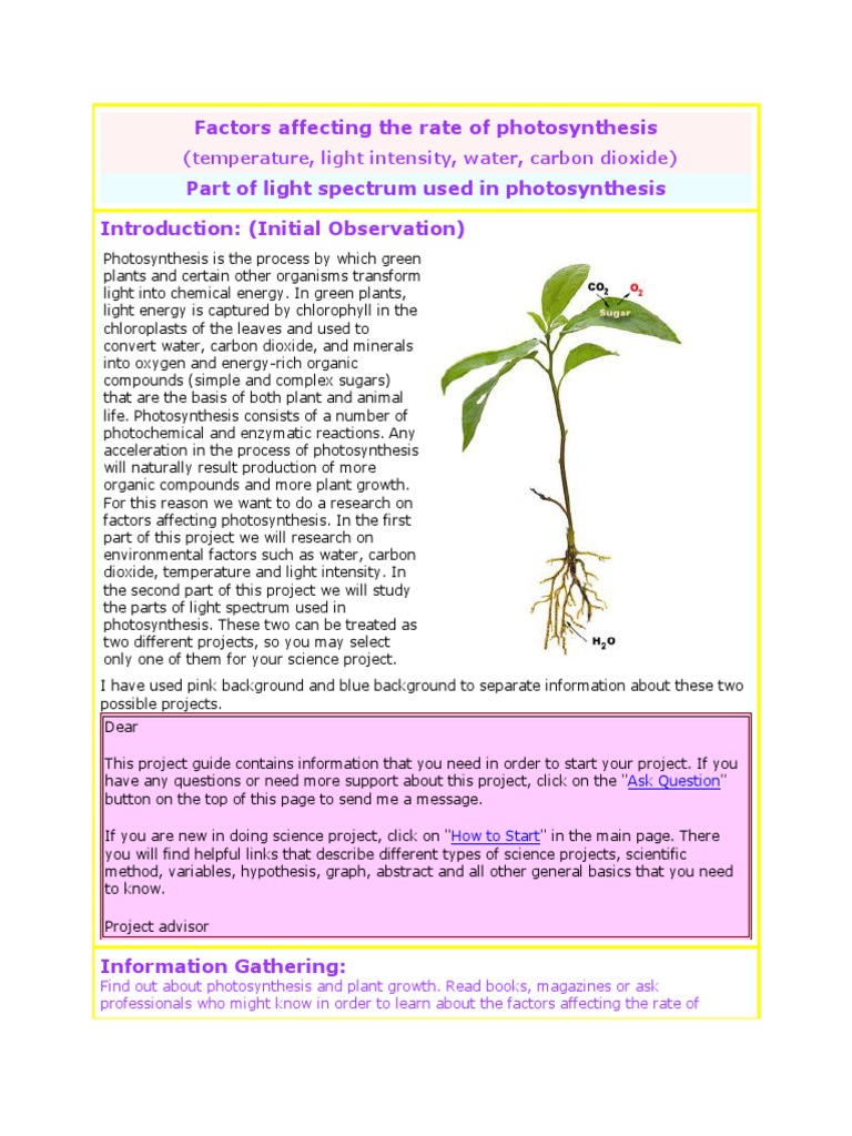 Factors Influencing Photosynthesis Rate | PDF | Photosynthesis | Experiment
