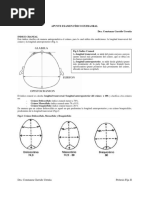 Canino Temporal Superior | PDF | Anatomia dental | Diente