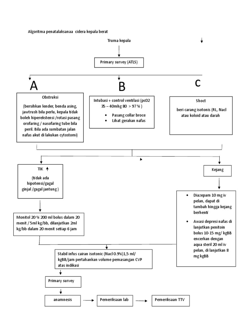 Algoritma Penatalaksanaa Cidera Kepala Berat | PDF