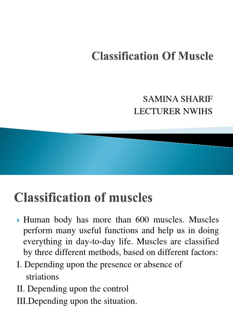 Classification of Muscles | PDF | Skeletal Muscle | Cell Biology