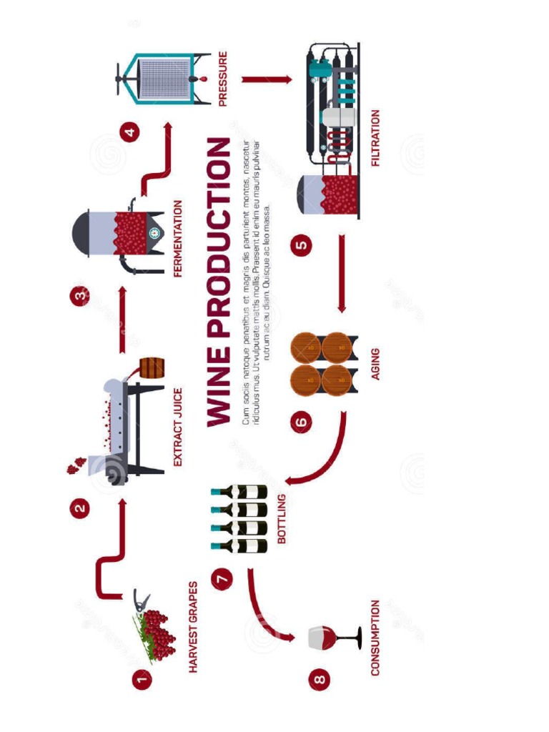 5 Stages of The Wine Making Process | PDF | Winemaking | Fermentation ...