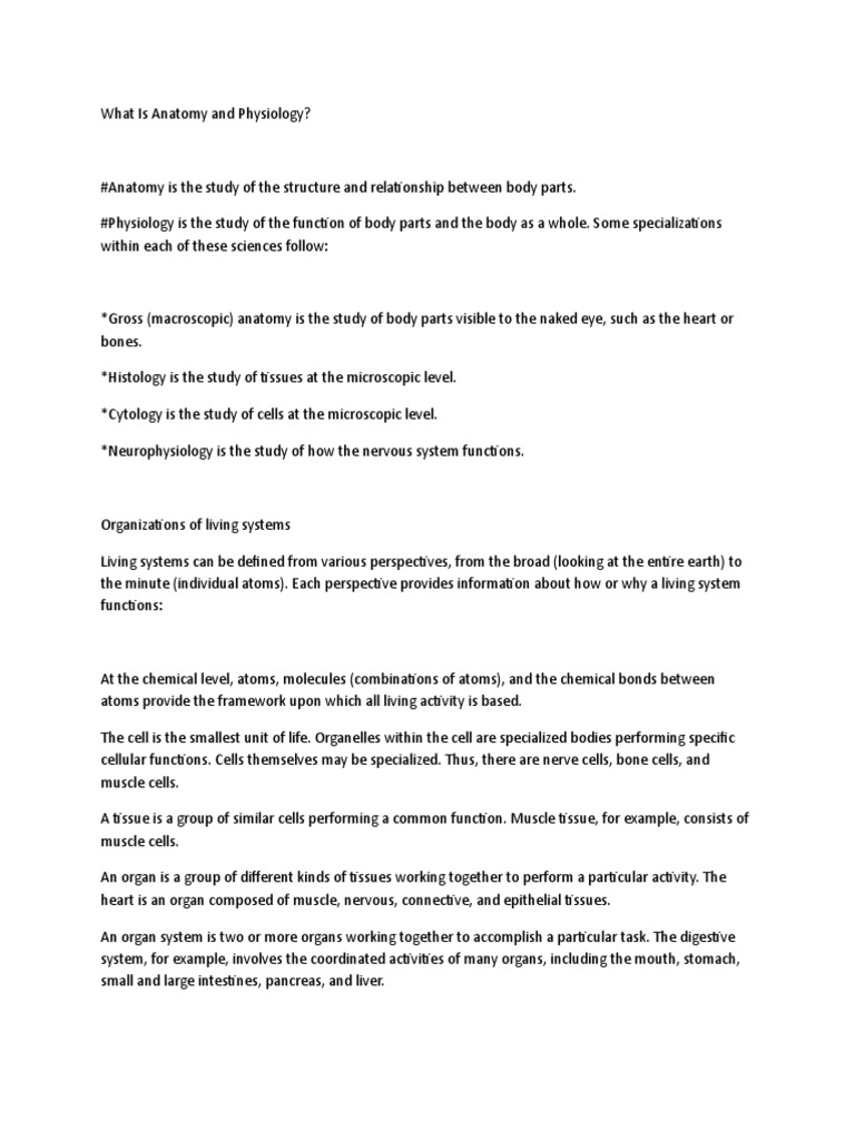 What Is Anatomy-WPS Office | PDF | Homeostasis | Human Body