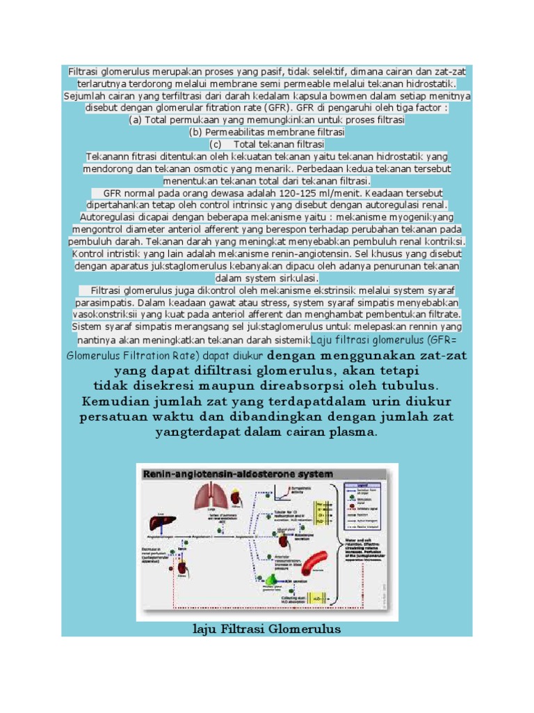 Proses dan Laju Filtrasi Glomerulus | PDF | Sains & Matematika