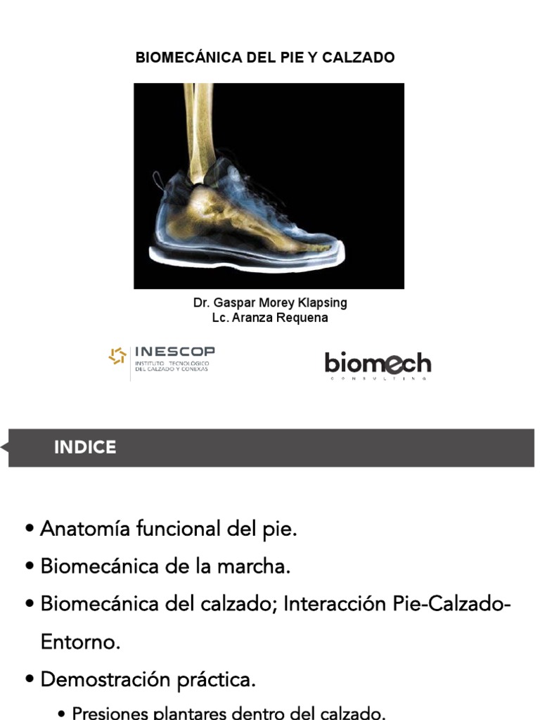 Biomecánica Del Pie y Del Calzado PDF | PDF | Pie | Anatomía de los ...