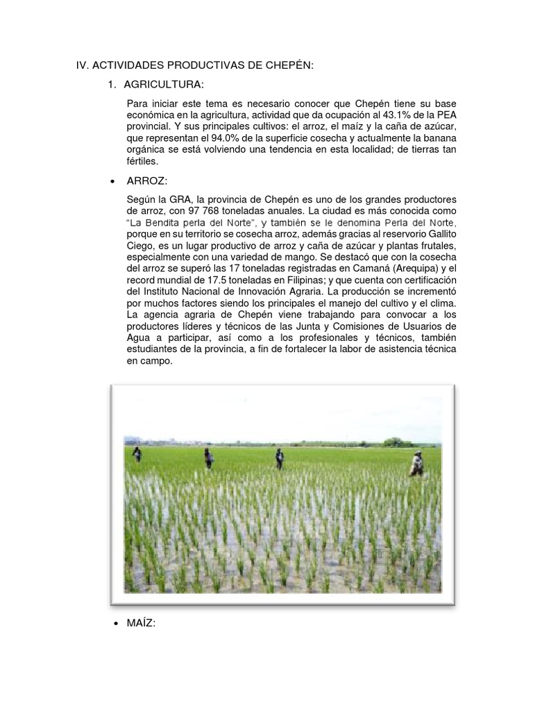 Chepén | PDF | Agricultura | Naturaleza