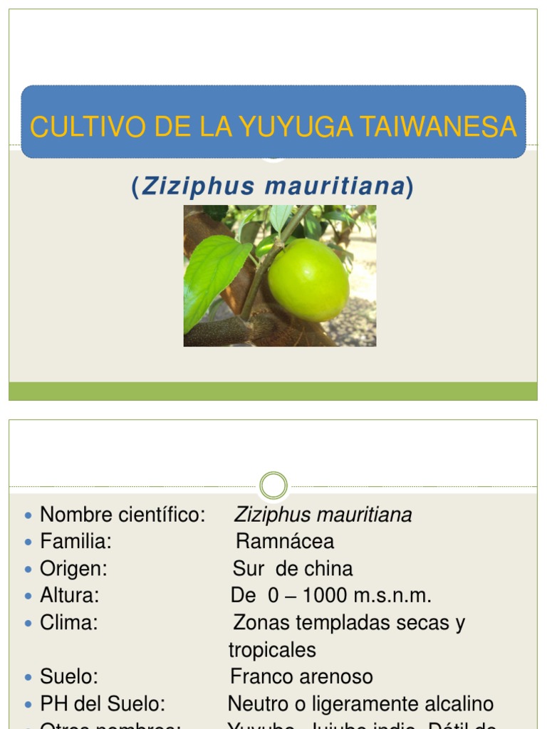 Cultivo y manejo de la yuyuga | PDF | Fertilizante | Horticultura y ...