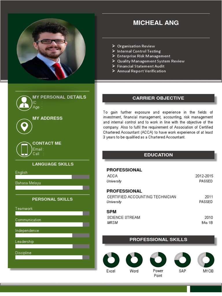 SAmple CV - Internal Auditor | PDF | Internal Control | Internal Audit