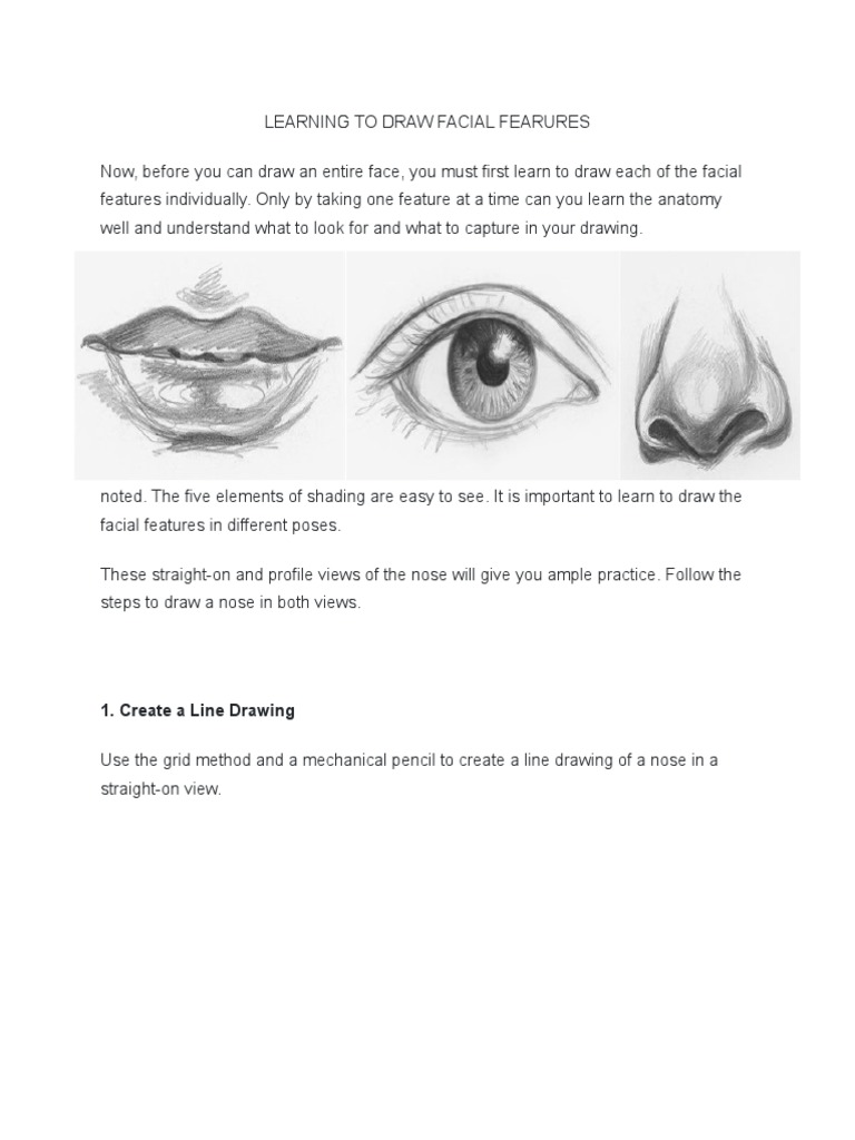 How To Draw Facial Features Worksheet