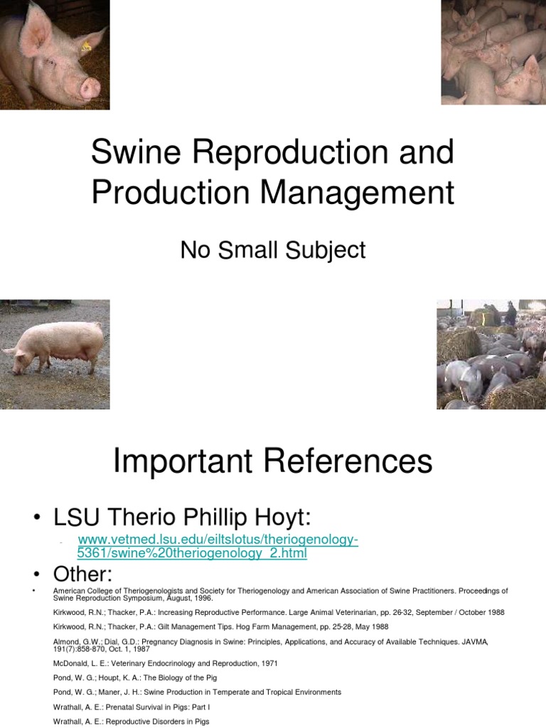 Swine Reproduction and Management Insights | PDF | Domestic Pig | Mammals